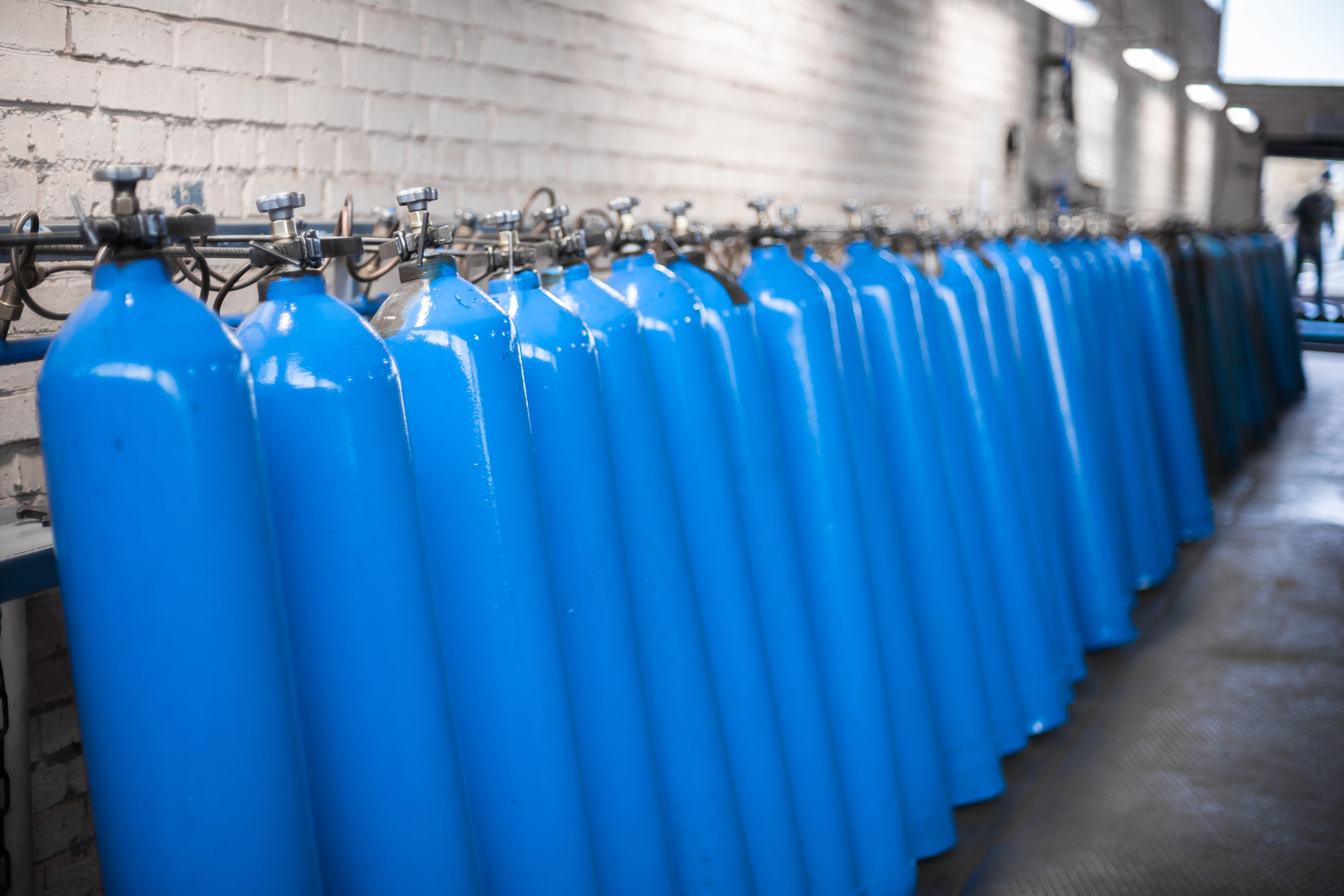 Oxygen Cylinder With Compressed Gas Blue Oxygen Tanks For Industry Oxygen Cylinder With Compressed Gas Blue Oxygen Tanks For Industry